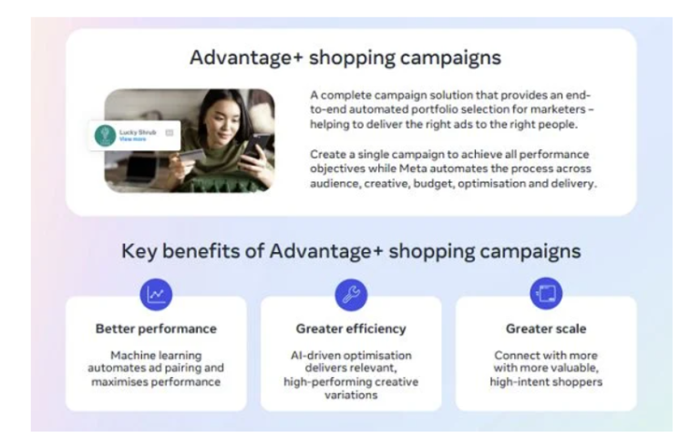 Maximizing Marketing Success with Meta’s Advantage+ Ad Campaigns: A ...